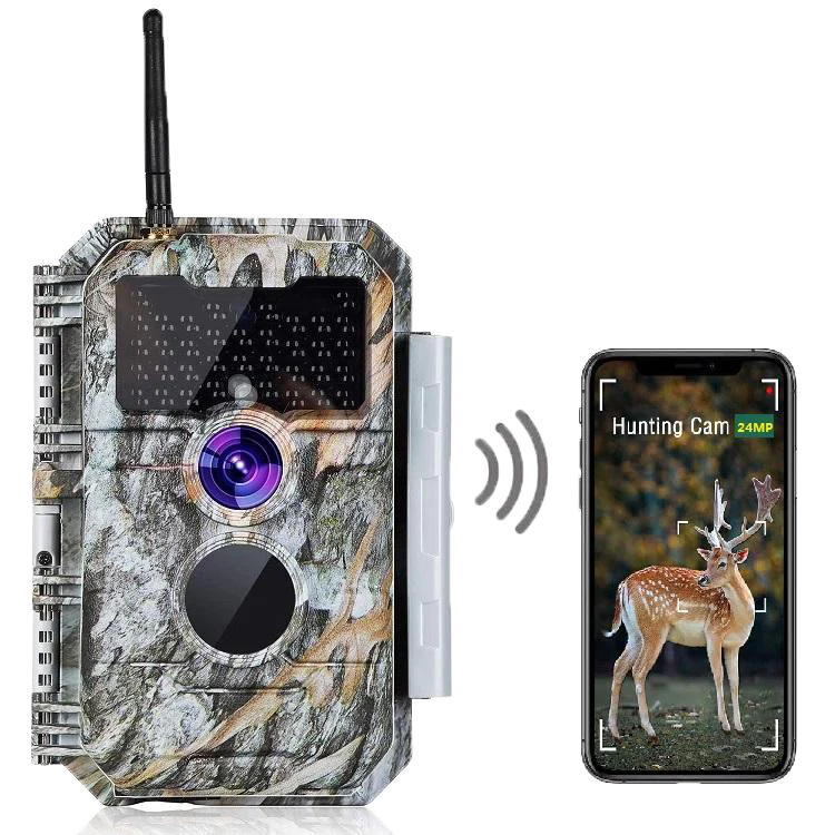 7 TIPS FOR PUBLIC LAND TRAIL CAMERA SUCCESS